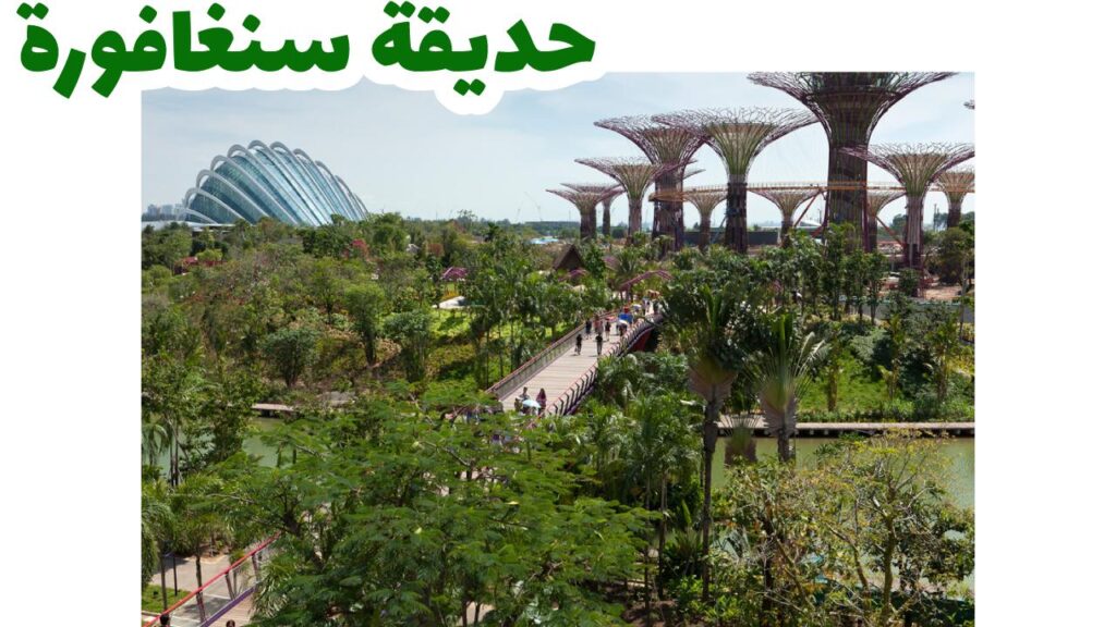 سنغافورة: شاهد أكبر نافورة في العالم وتمتع بالسباحة وسط السحاب ...